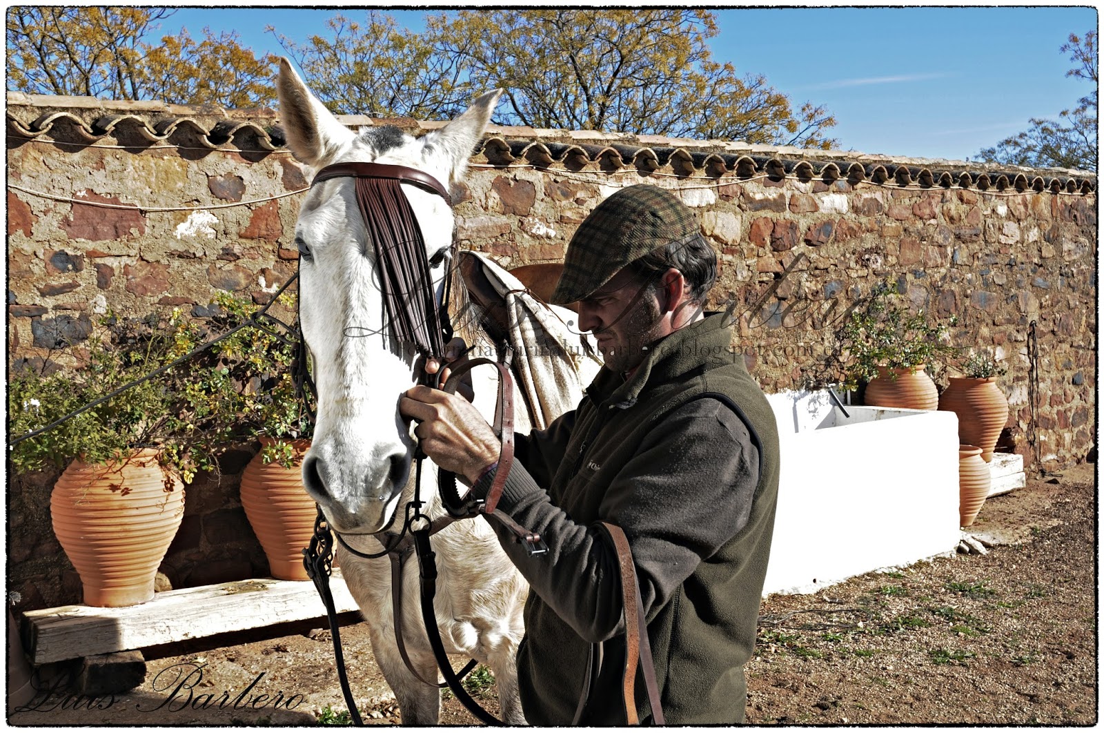 Campoybravo: D. José Ángel Gil Valero. Mayoral de la ganadería "Arauz ...