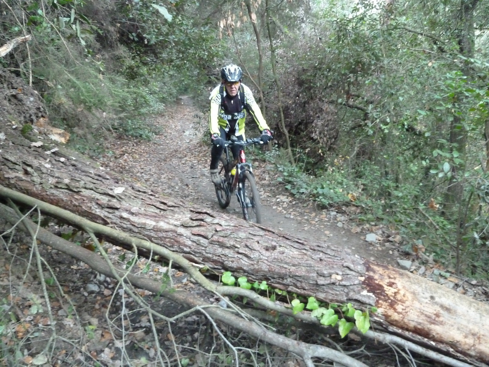 PorQueNosGustaPedalear: De estreno por Can Xerolive