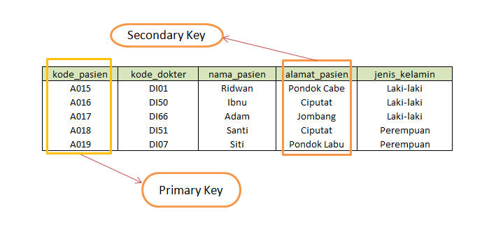 Wulandari: Latihan Basis Data Pert 1