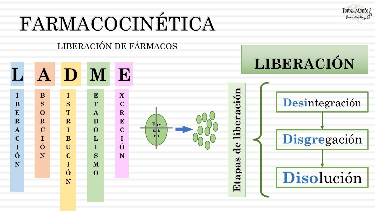 Farmacocinética De Absorción De Fármacos