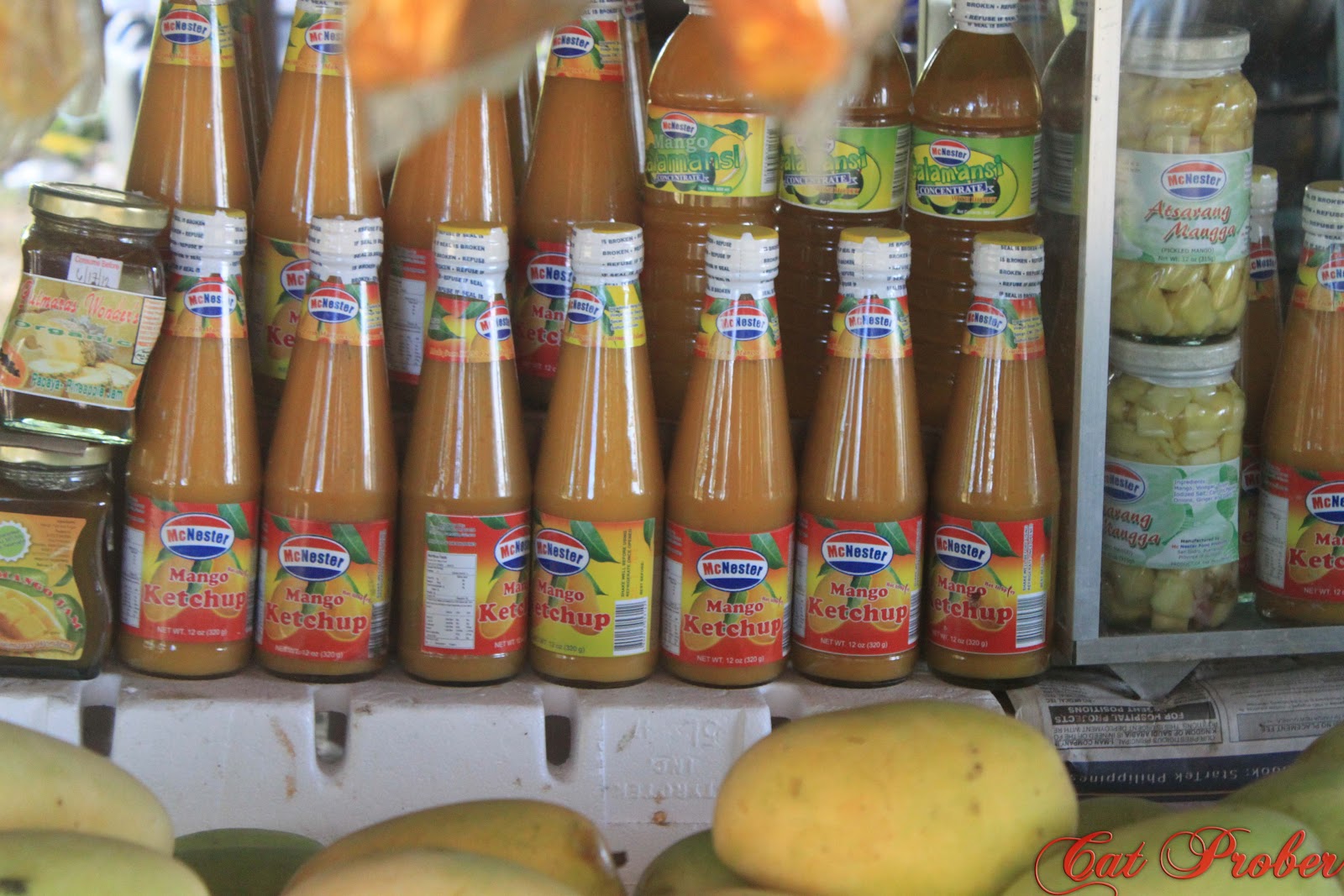 A Wanderer's Journey: Guimaras - The Sweetest Mangoes