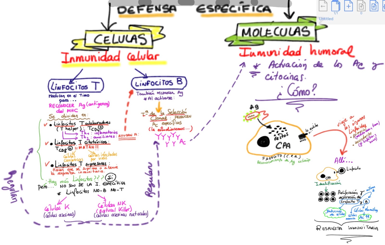 BIOLOGÍA 2º BACHILLERATO: DEFENSA ESPECÍFICA