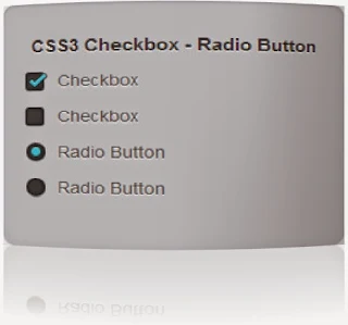 Cambiar estilos de Checkbox y Radio Button con CSS3 - Detodoprogramacion.org