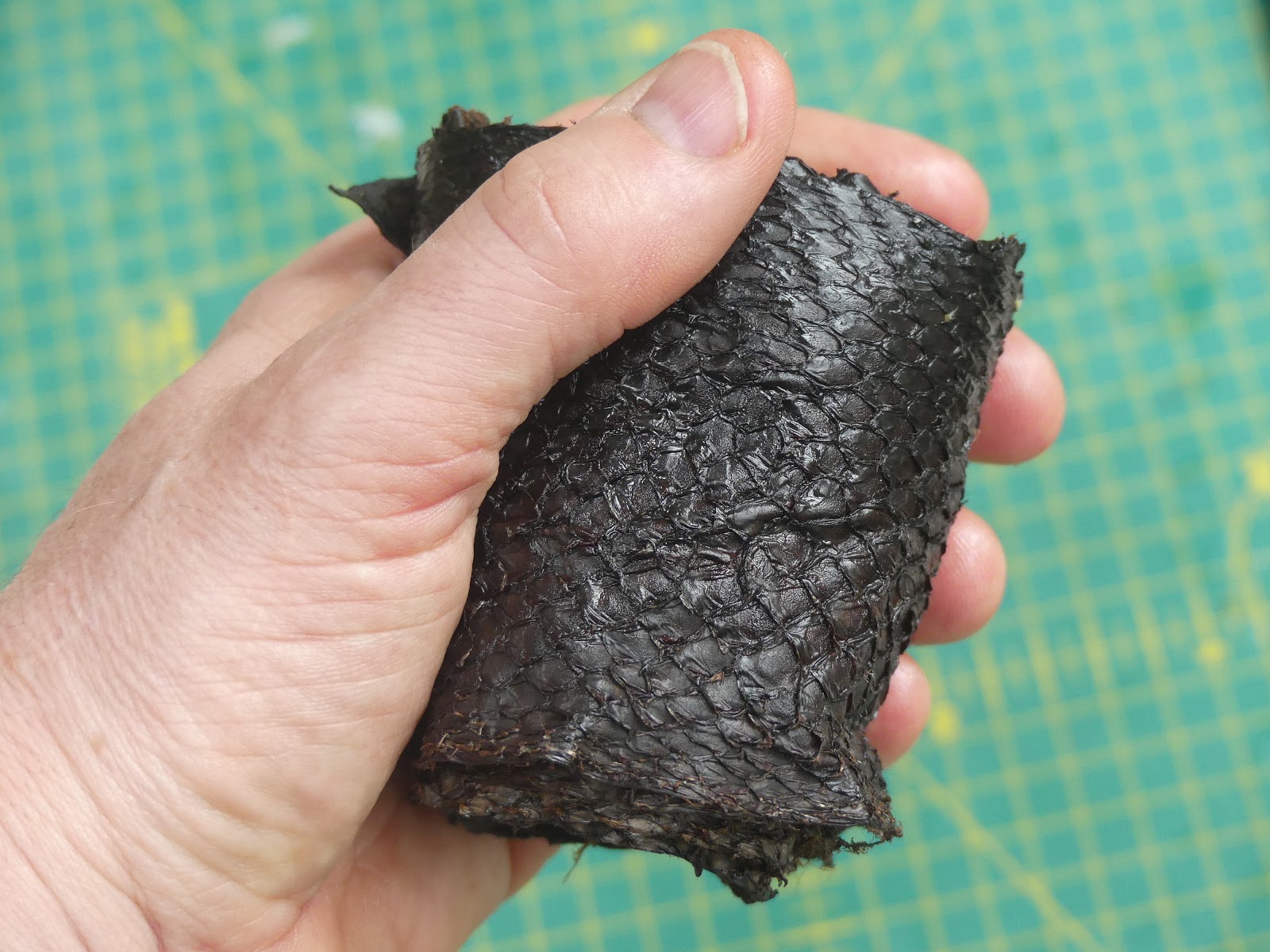 The Outdoor Traditionalist : Fish Skin Leather