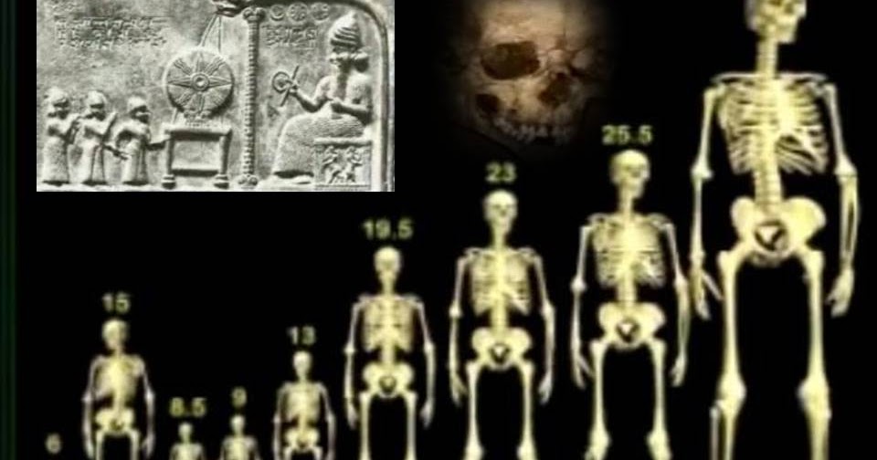 The Truth About Nephilim Giants - Steve Quayle ~ TTBTS Rons World News
