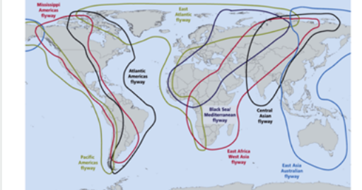 Avian Flu Diary: APHIS: Detection Of HPAI H5N2 In Wild Alaskan Duck