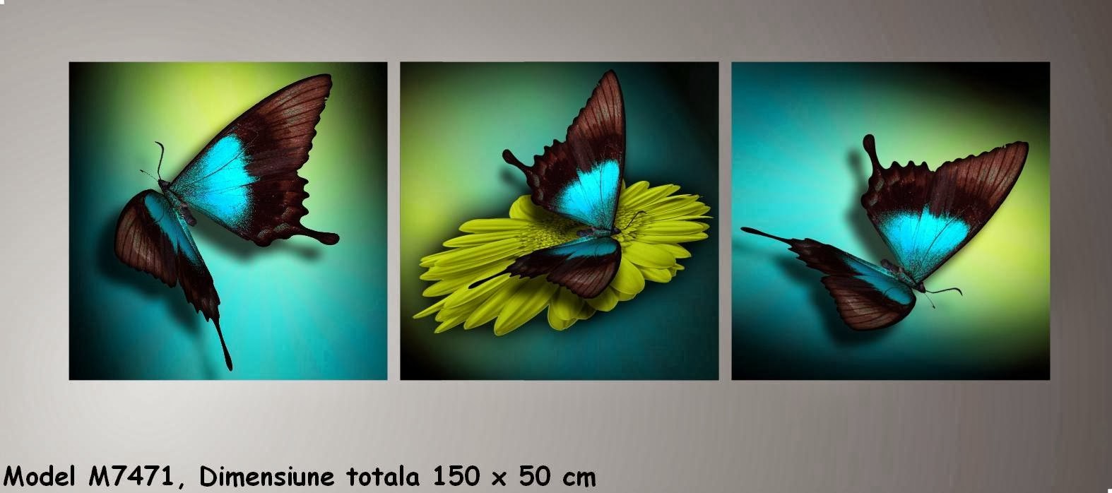 Tablouri Moderne Ploiesti