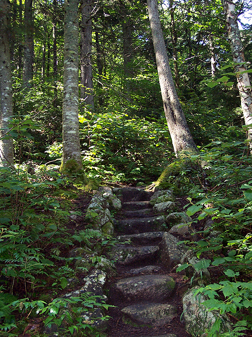Hiking in the White Mountains: Willey Range with Lee and Dion