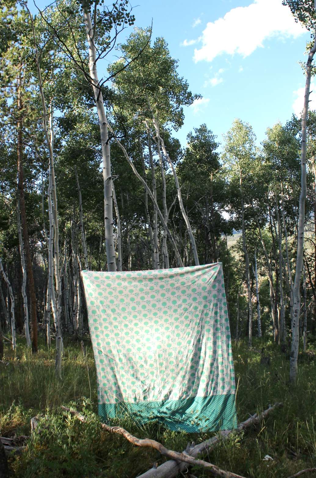 Knit Throw blanket with color block accents using Acorn Valley Fabric ...