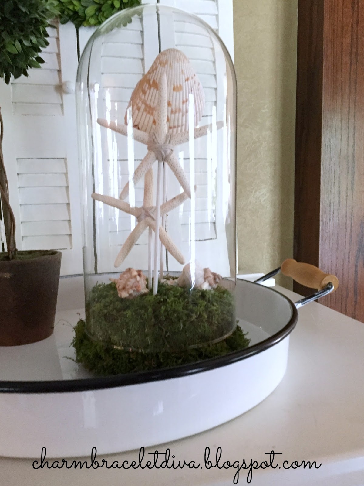 Our Hopeful Home: How To Make A Pottery Barn-Inspired Shell Cloche