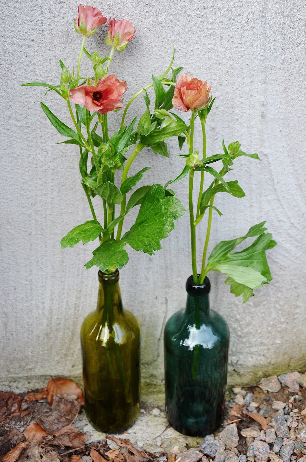 LILJOR OCH TULPANER: Japansk ranunkel