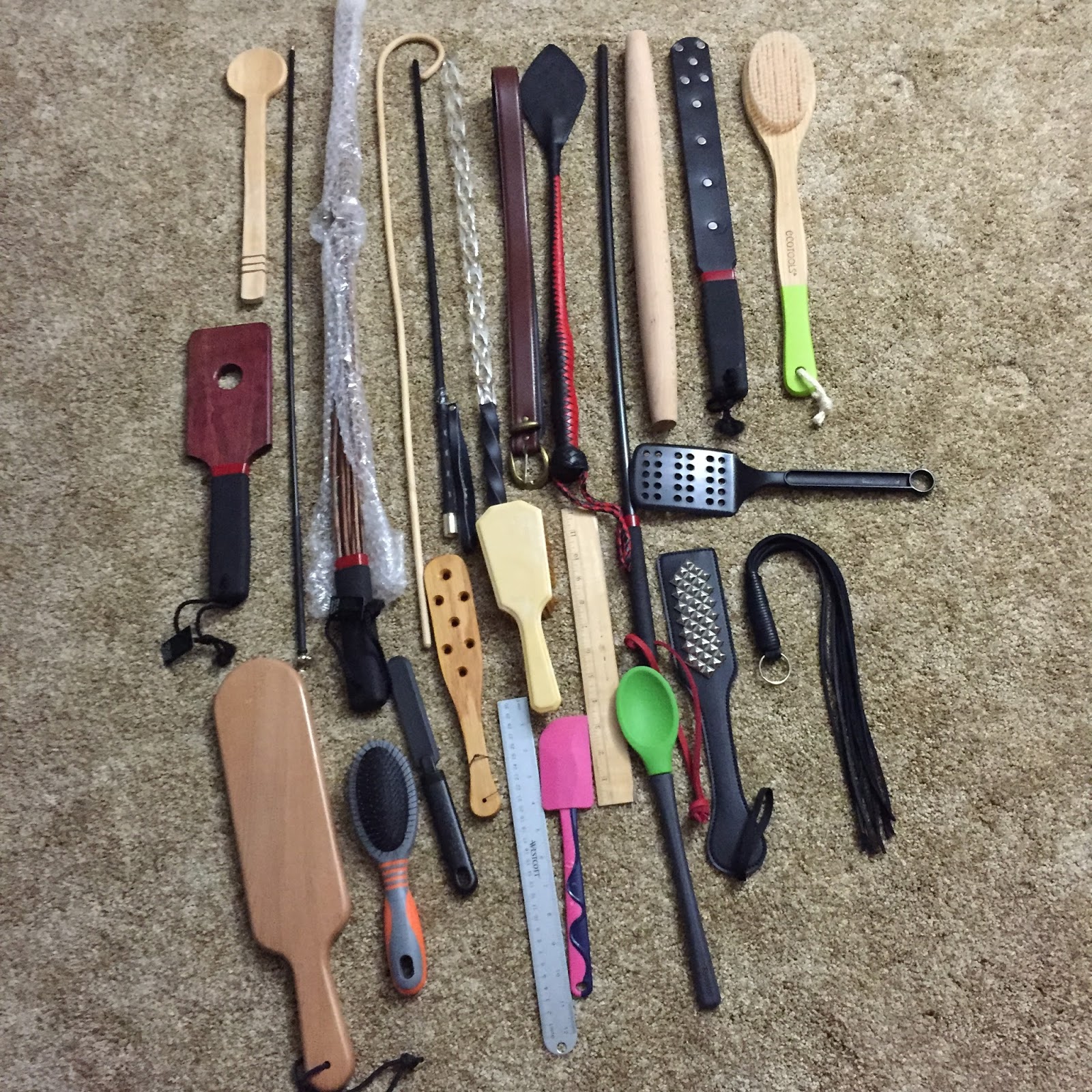 Professional DisciplinarianMiss Jenn Davis: August 2015