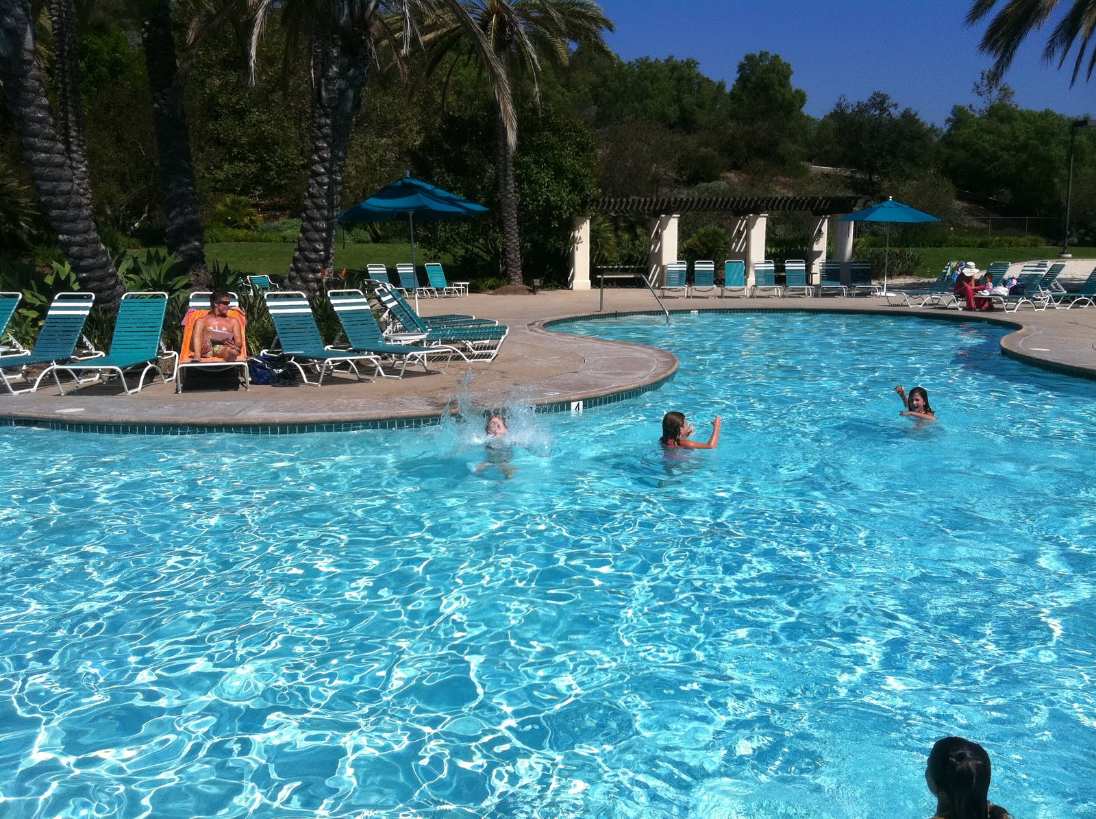 The Chronicles of The Feaseys: Girl Scout pool party