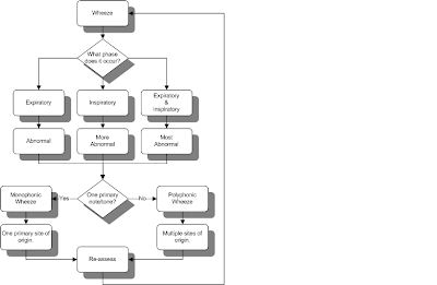 Respiratory Care K.I.S.S.: Category: Physical Assessment - FLOWCHART