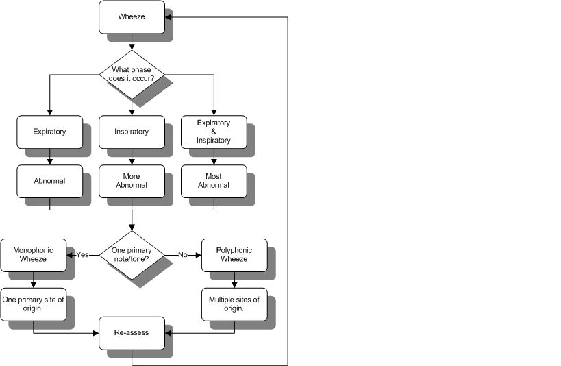 Respiratory Care K.I.S.S.: Category: Physical Assessment - FLOWCHART
