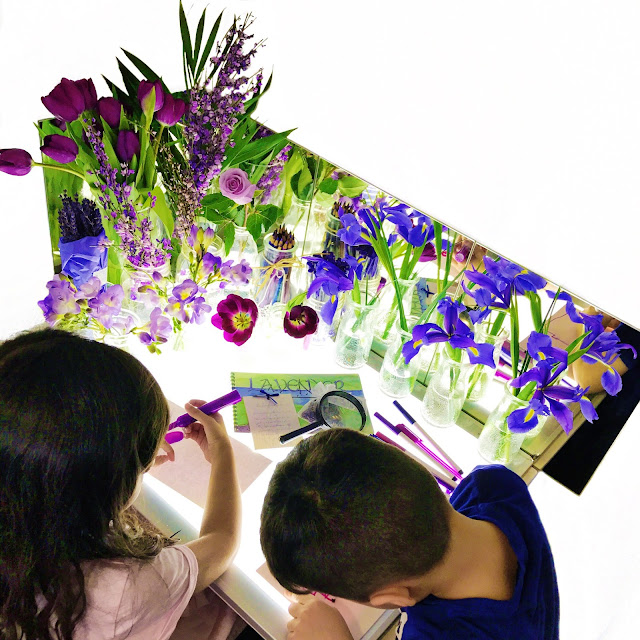 New Documentation Study Group/Format for my York U K AQ Course ...