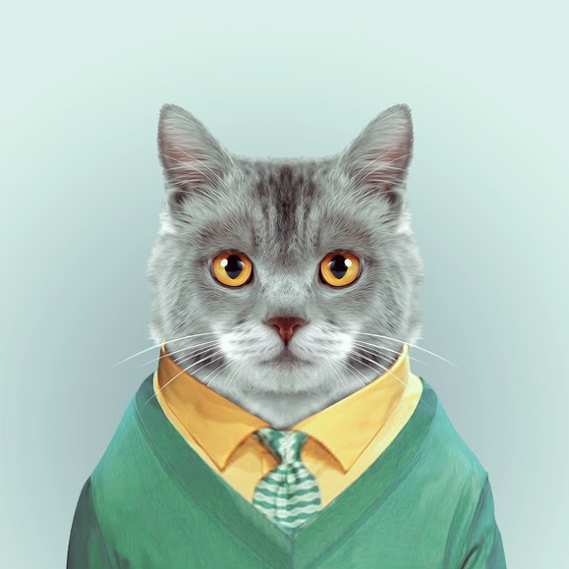 EL ANIMAL INVISIBLE: Zoo Portraits. Yago Partal