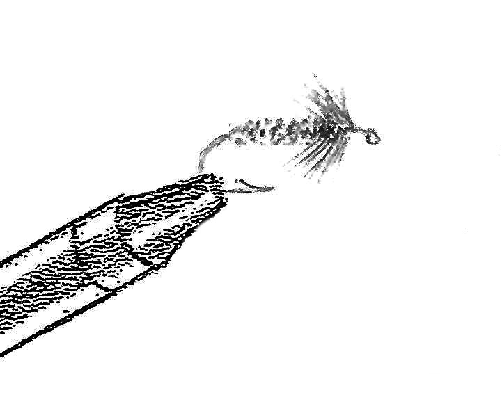 Fly Fishing with Doug Stewart: Tying the Leadwing Coachman