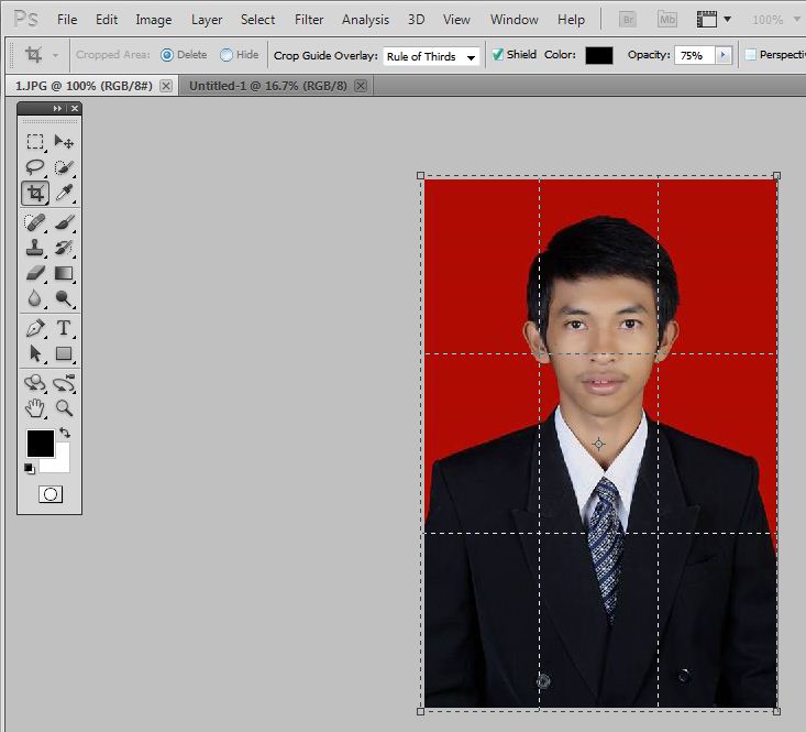 tips & tricks: TUTORIAL BUAT PAS PHOTO UKURAN 4X6, 3X4 DAN 2X3 DALAM 1 ...