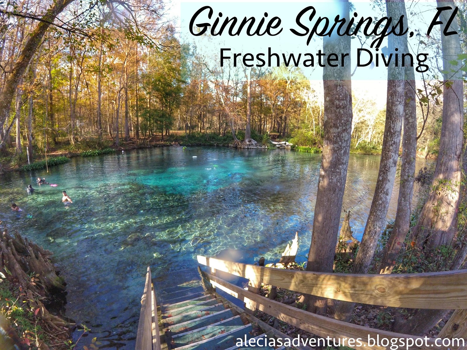Ginnie Springs, Florida: Freshwater Diving - Alecia's Adventures