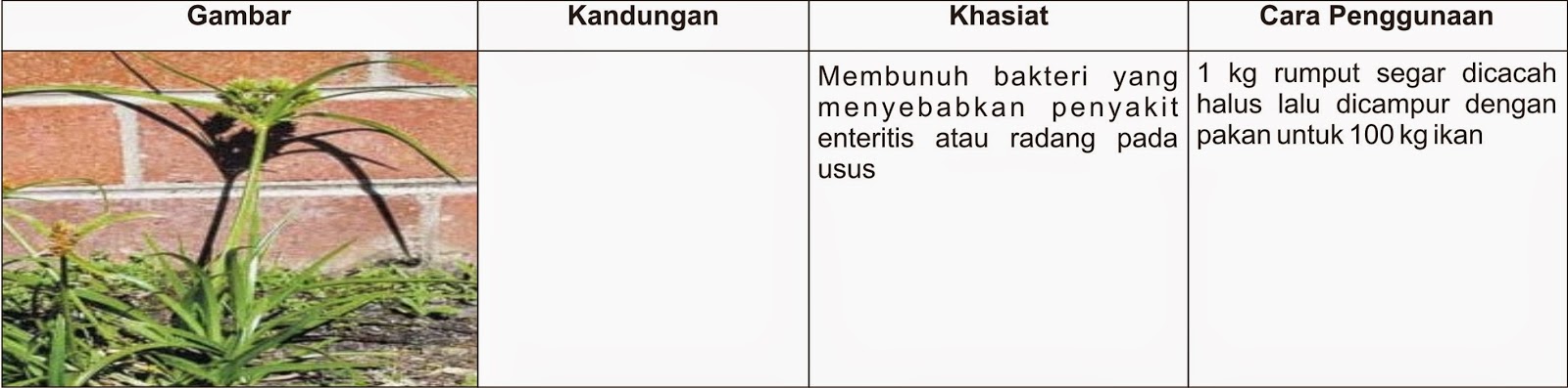 Obat Herbal Untuk Ikan - Lalaukan