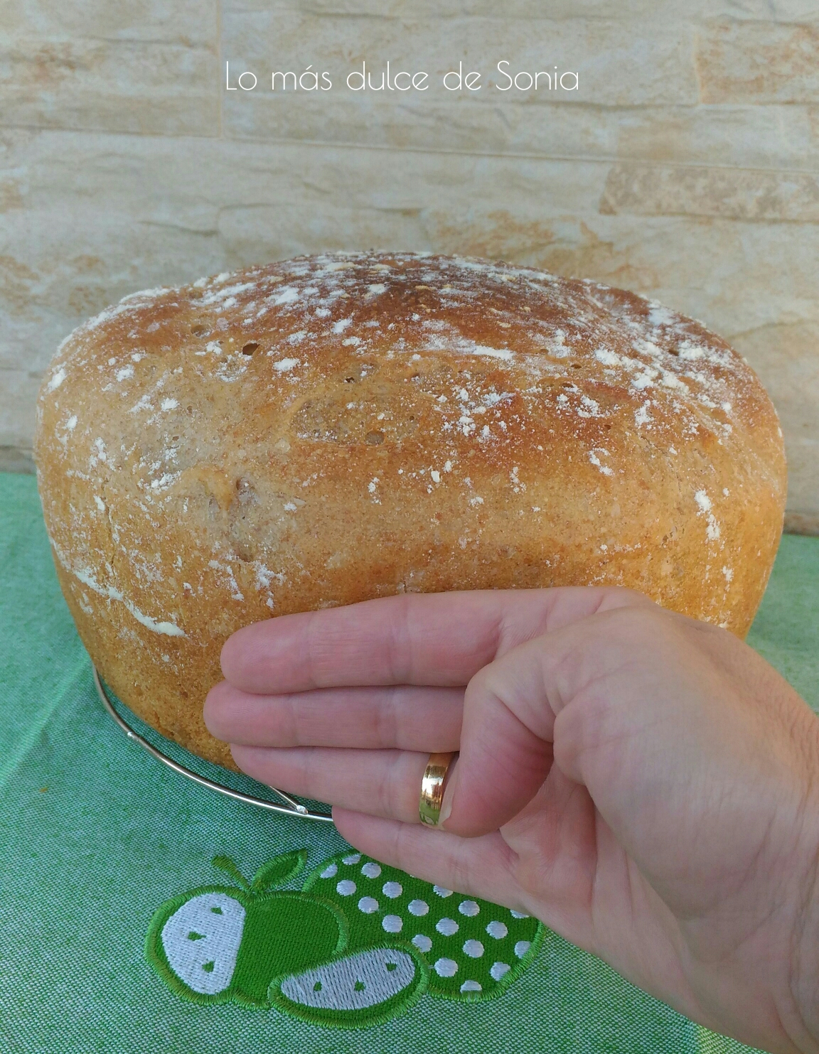 Pan fermentado y horneado olla GMG