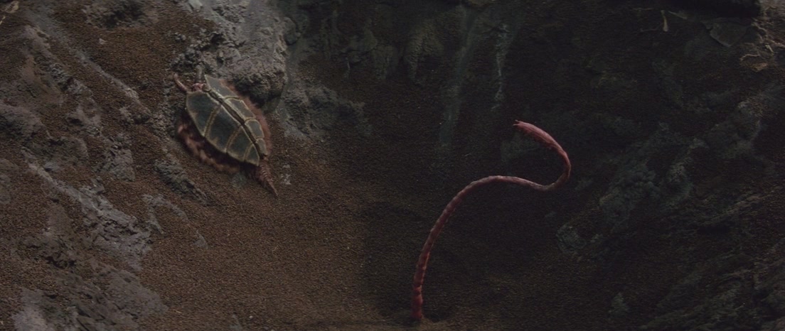 John Llewellyn Probert's House of Mortal Cinema: Enemy Mine (1985)