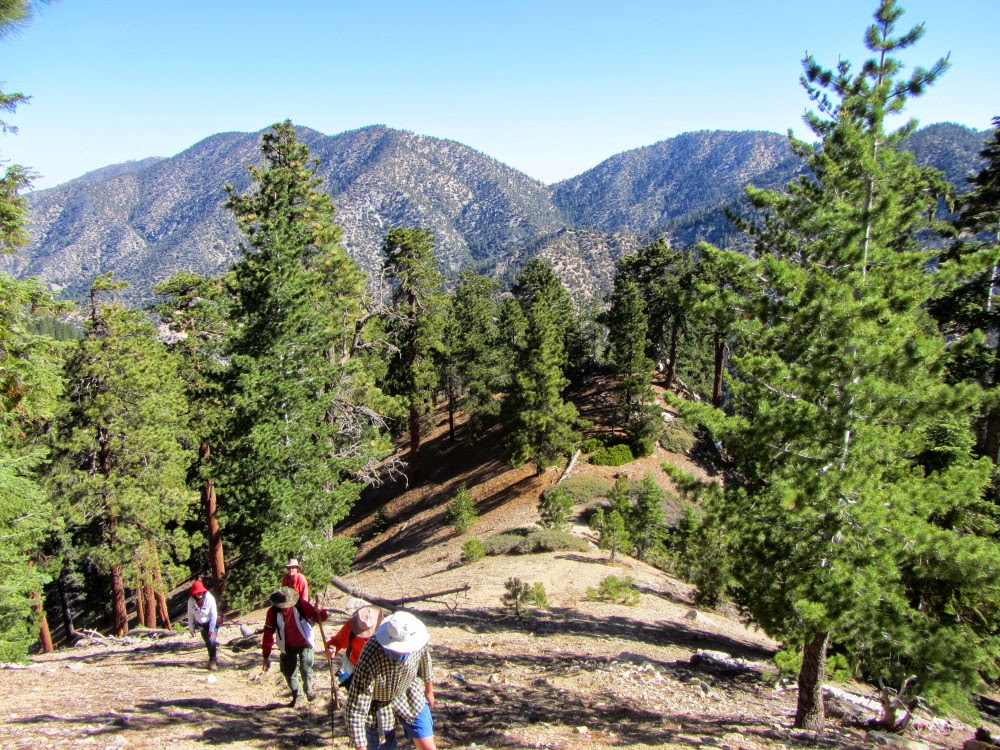 Dan's Hiking Blog: Kratka Ridge Hike - June 14, 2014