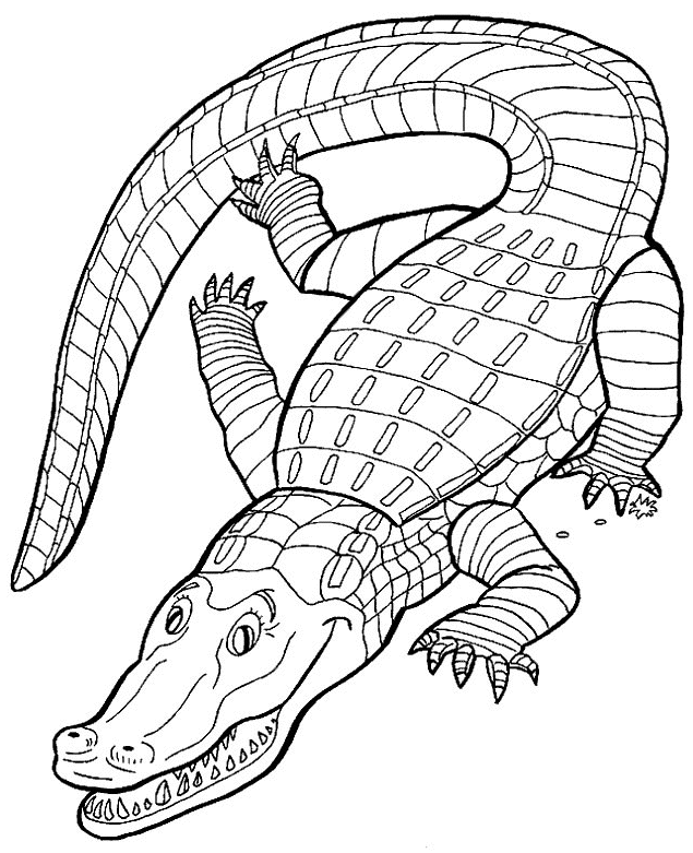 universul copiilor: Planse de colorat crocodil