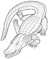 universul copiilor: Planse de colorat crocodil
