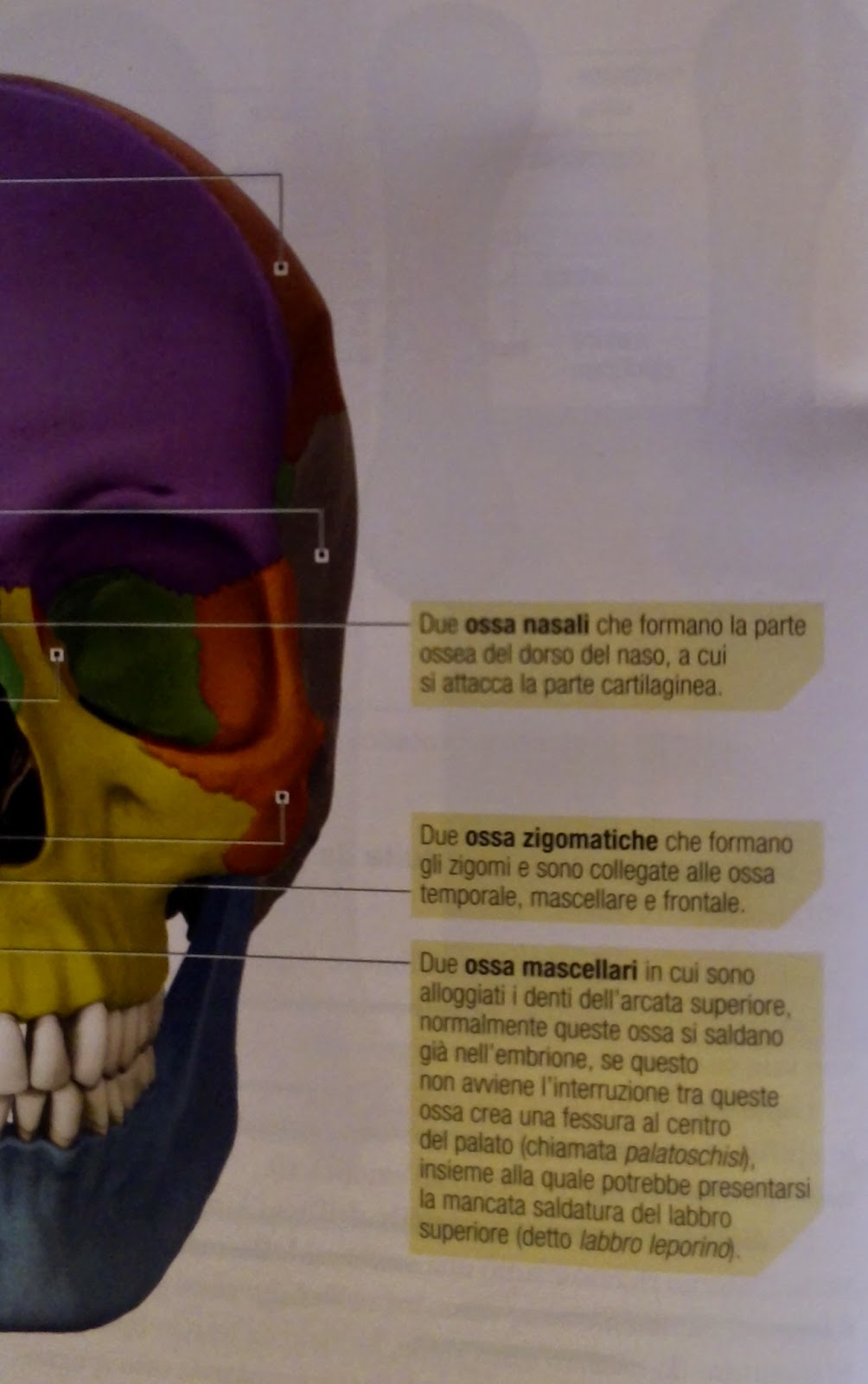 Appuntando chimica e biologia