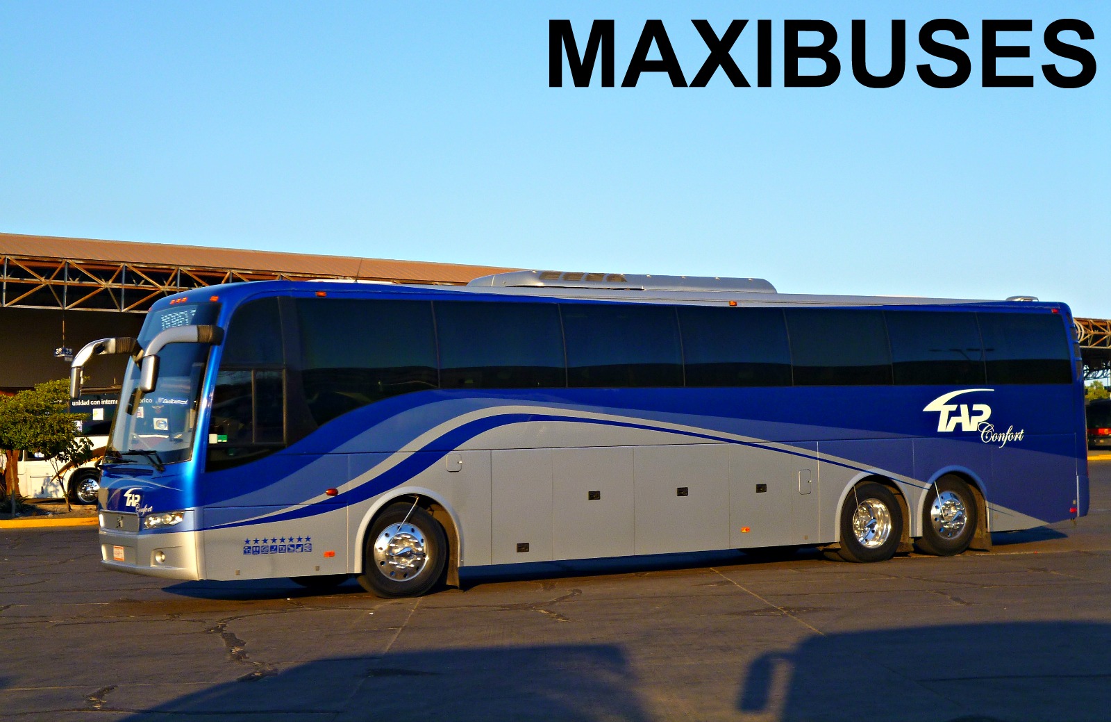 MAXIBUSES: TRANSPORTES Y AUTOBUSES DEL PACÍFICO, CONFORT (TAP CONFORT)