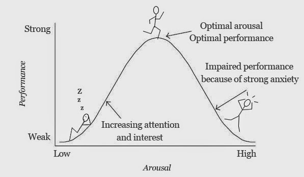 PokerBug: A Little Stress is a Good Thing