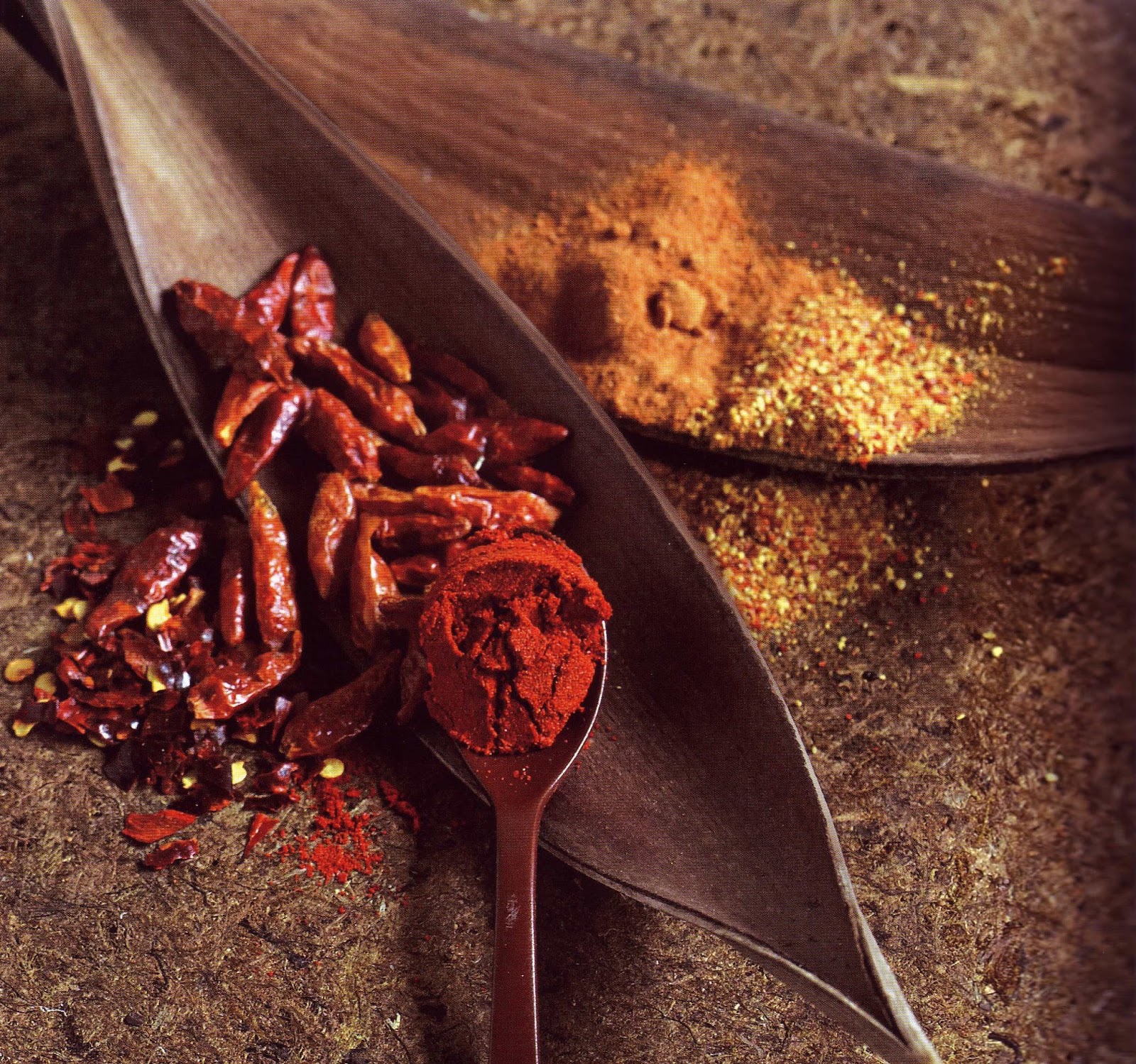 Gourmet Lodging : Le Curry