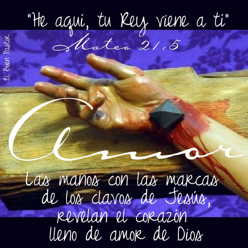 YO SOY EL BUEN PASTOR: Mateo 21:5