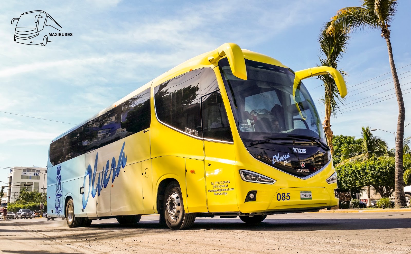 MAXIBUSES: AUTOBUSES TURÍSTICOS OLVERA (TURISMO)