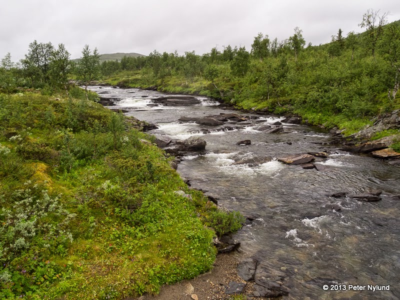 Yeti rides: Ammarnäs-Hemavan