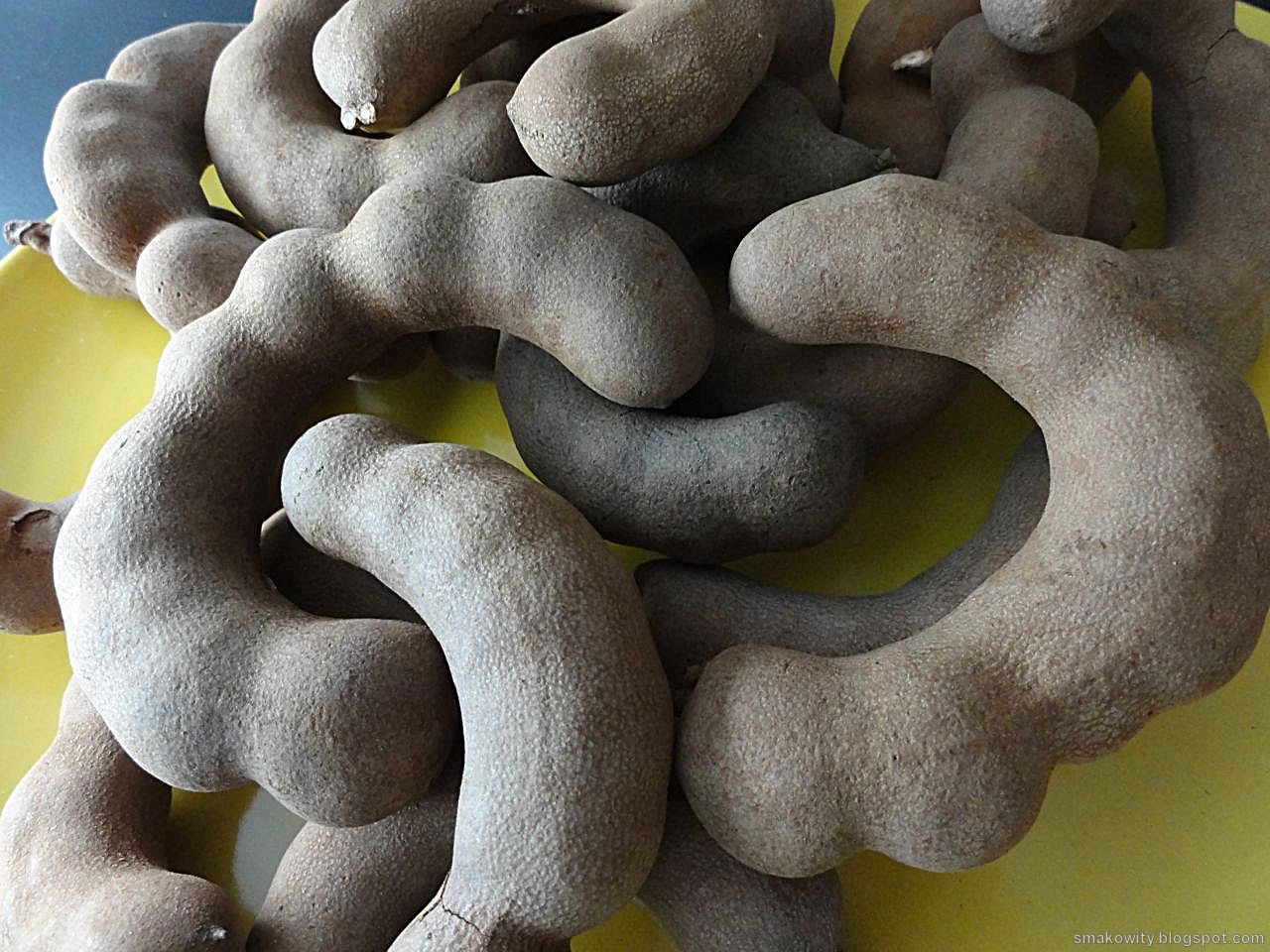 Tamarynd - Smakowity blog