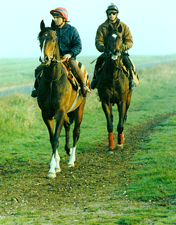 Racing Post Issues: RACING POST SATURDAY MAY 19th 2012..FRANKEL'S ...