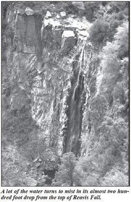 Tom Kollenborn Chronicles: Maiden Prayer Glen (Reavis Fall)