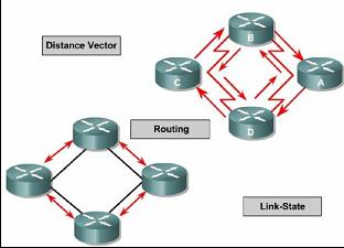 My study in Information Technology: Routing
