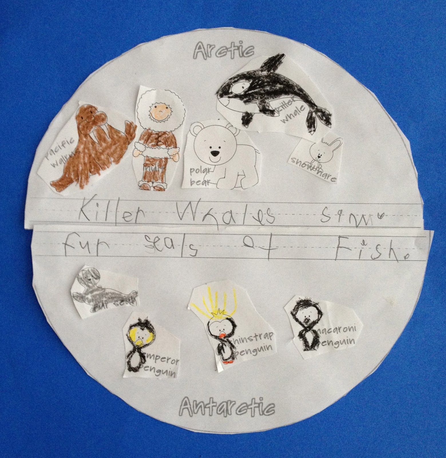 Little Miss Glamour Goes To Kindergarten: Arctic & Antarctic animals