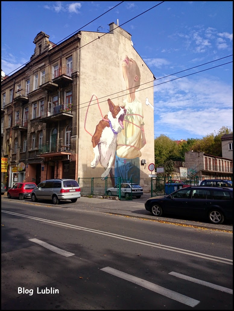 Blog Lublin: Mural z psem w Lublinie i... Zakaz wprowadzania psów na ...