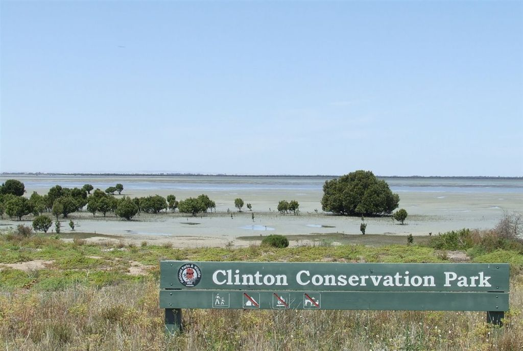 Dave and Sue's South Aussie Big Year : Farewell to the Shorebirds