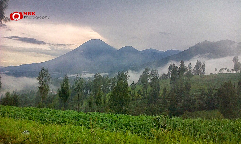 MY EXPERIENCE: Keindahan Alam Argosari