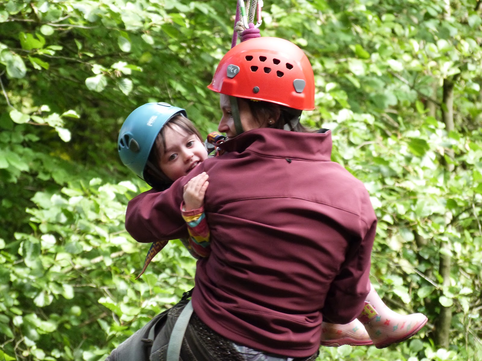 The Dean Field Studies Centre: DFSC 40th Anniversary Celebrations 2