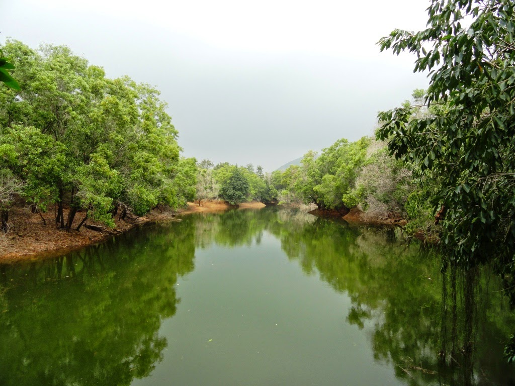 Eastern Ghats Wildlife Society
