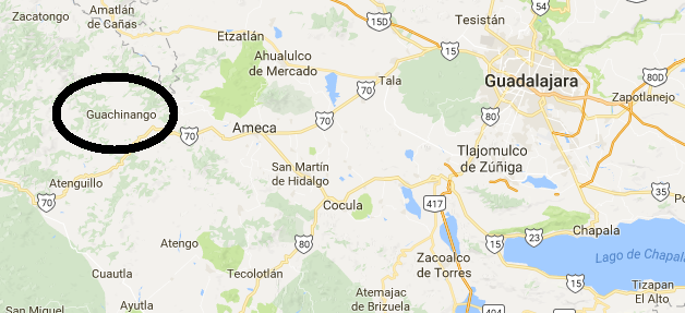 paleric: "EL GUACHINANGO"