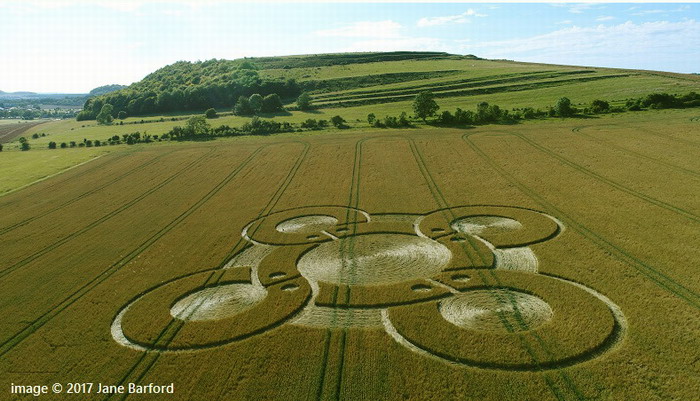 CAMINO - CONCIENCIA / SEÑALES DE LOS TIEMPOS : IMPRESIONANTE AGROGRAMA ...