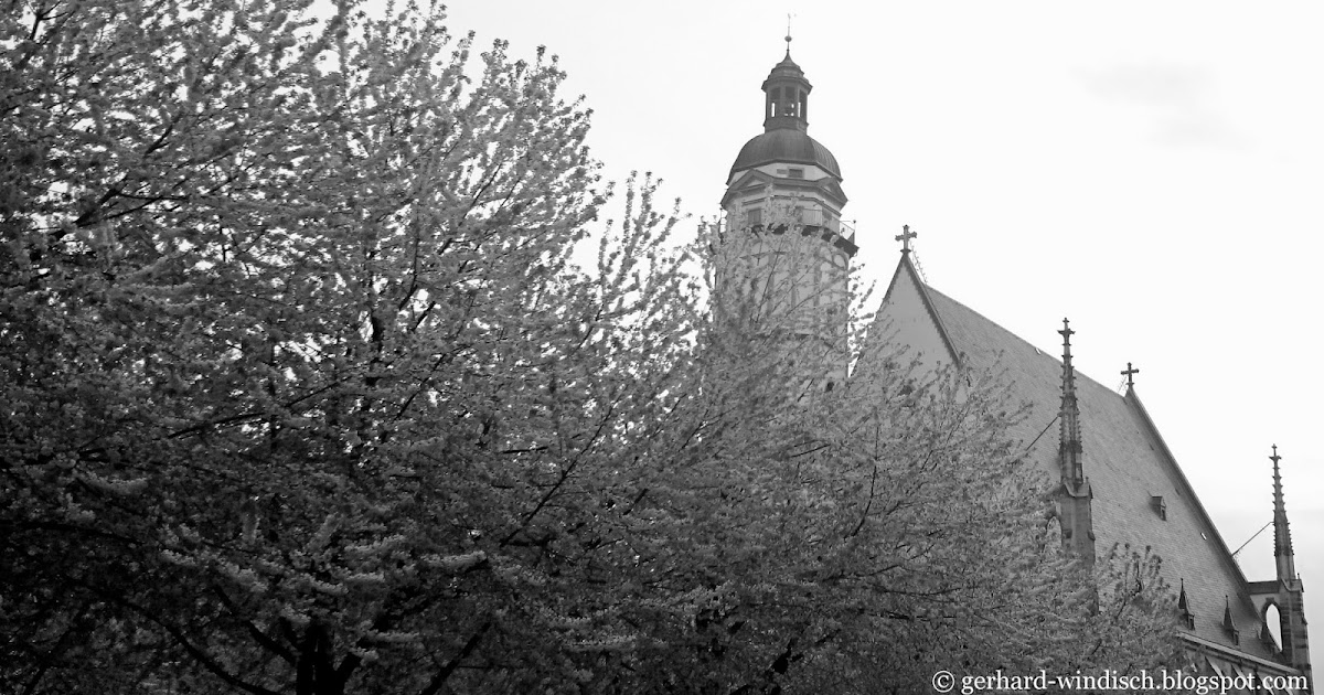 Gerhard Windisch. Ein Künstler neu entdeckt.